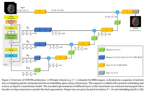 unetr 医学图像分割架构 2d版 tensorflow2 keras 实现unetr csdn博客