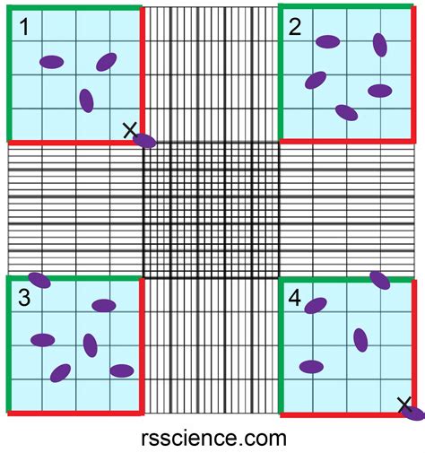 How Do You Calculate The Density Of A Hemocytometer Hot Sex Picture