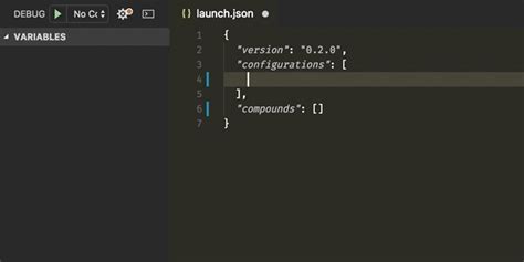 What Is The Proper Way To Debug An Npm Script Using Vscode
