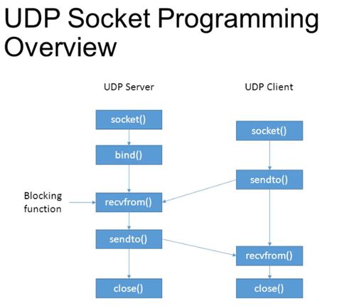 udp socket programming in c language language programming sockets