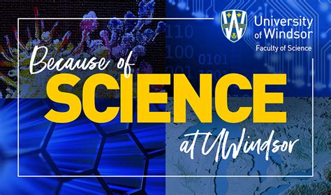 uwindsor degree mapped out alumna s future dailynews