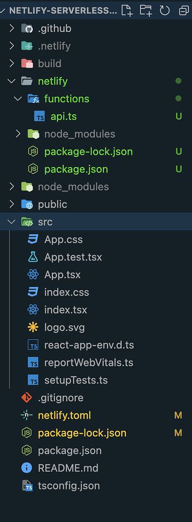 Deploying Express Serverless Functions Along With React App Support