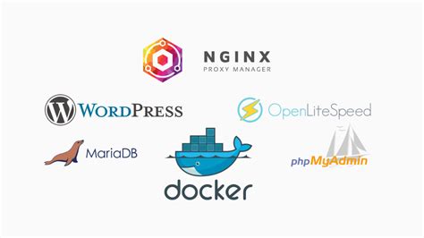 Cấu hình Nginx Proxy Manager làm Reverse Proxy cho OpenLiteSpeed