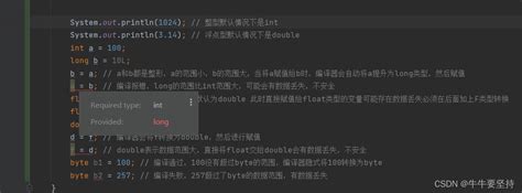 介绍java中的常 变量 各种数据类型以及类型转换和提升的用法 java黑洞网