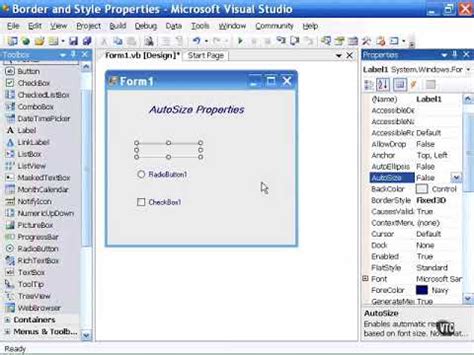VB Visual Basic 2008 Control Properties AutoSize Property