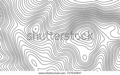 Topographic Map Contour Background Topo Map Stock Vector Royalty Free 737034847