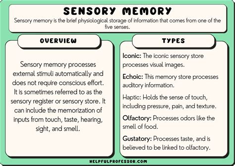 10 sensory memory examples 2024