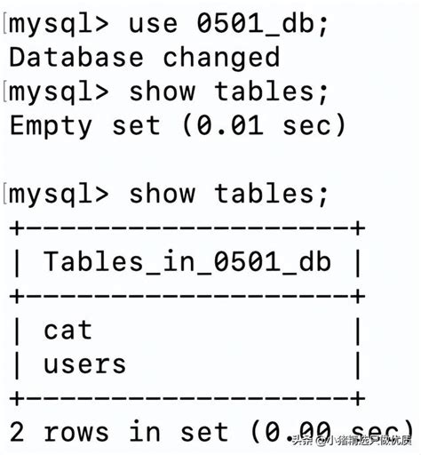 python的orm框架sqlalchemy 每日頭條