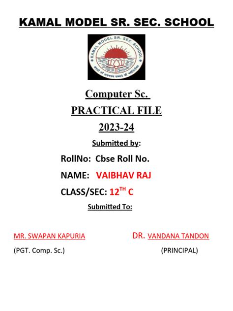 cs pratical codes final pdf databases computer programming