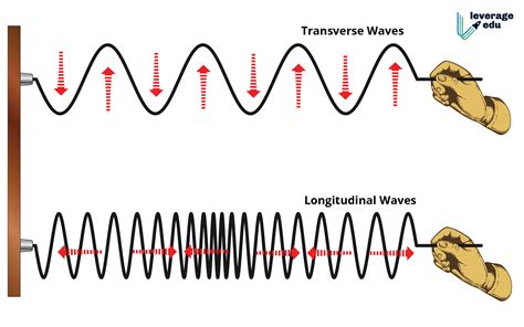 Transverse Wave And Longitudinal Wave Diagram