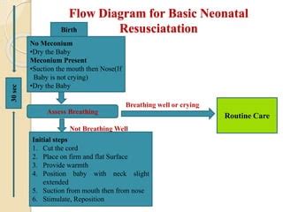 Neonatal Resuscitation PPT