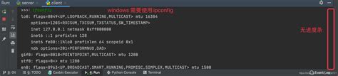 python socket网络编程 csdn博客