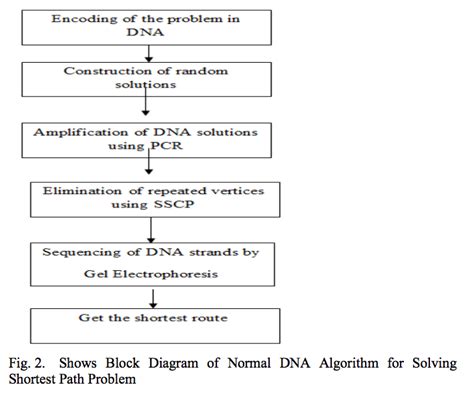 normal dna algorithm for solving shortest path problem download scientific diagram