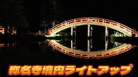 称名寺境内ライトアップ 中世の趣を色濃く残す境内をライトアップします阿字ヶ池の水面に浮かぶ反橋と会堂中世の趣を色濃く残す境内会堂