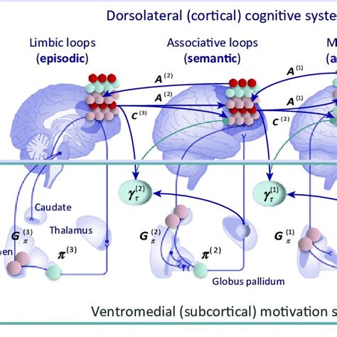 pdf hierarchical active inference a theory of motivated control