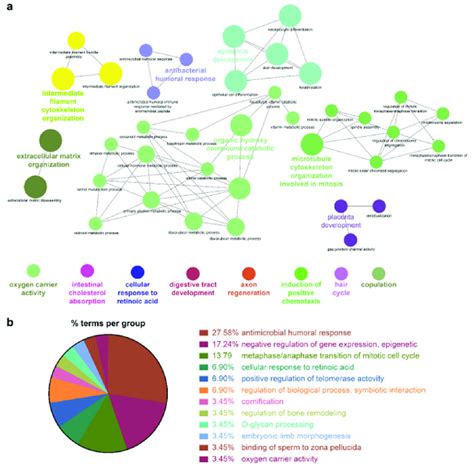 GO Enrichment And Pathway Analysis Of LUAD Features A Enriched
