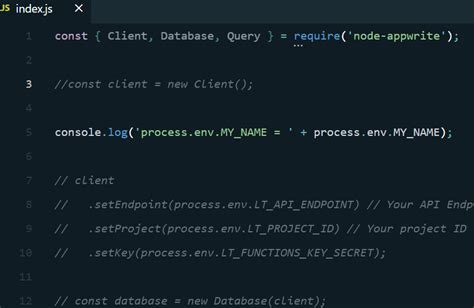 how do i read environment variables in my appwrite functions stack overflow