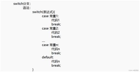 浅析java分支结构中的“switch分支” java duplicate branch in switch csdn博客
