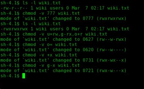 Bin Bash Bad Interpreter Issue Fixing Guide 2024