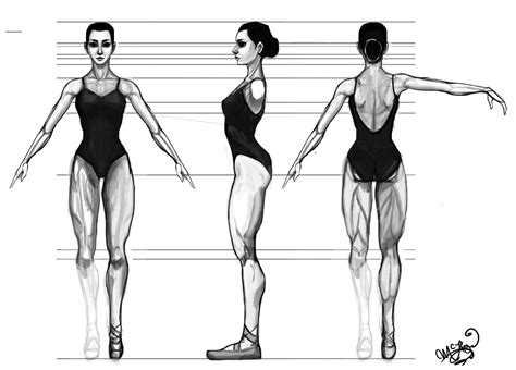 Female Character Model Sheet