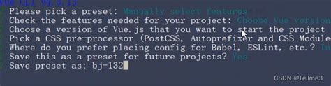 vue cli（基于cli如何创建项目）最详细教程，手把手教学 vuecli搭建项目 csdn博客