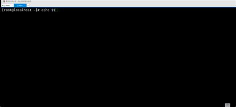 linux之shell脚本自动化编程三（login和nologin shell和关于shell特性的复习和补充 哔哩哔哩