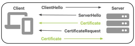 authenticating users and iot devices with mutual tls