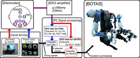 frontiers a bmi based occupational therapy assist suit asynchronous control by ssvep