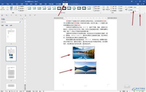 word如何把两张图片并排放在一起 word文档将两张图片水平排在一起的方法教程 极光下载站