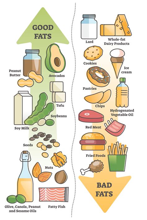 Good Fats Vs Bad Fats What Are They 1020 Wellness