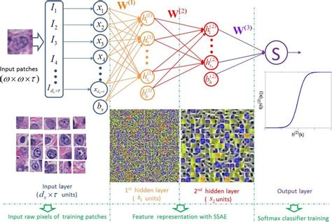illustration of stacked sparse autoencoder ssae plus softmax download scientific diagram
