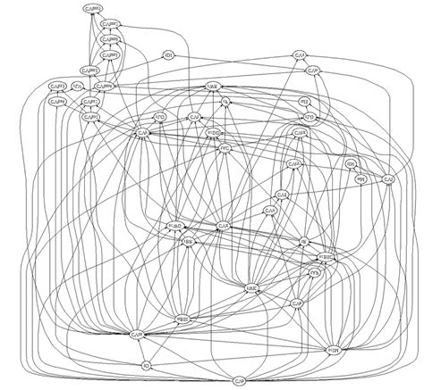 21 bayesian network structure trained using the mcmc algorithm from download scientific