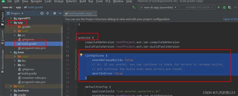 打包apk时出现Execution failed for task app lintVitalRelease CSDN博客