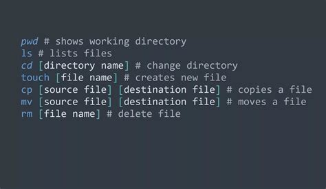 Learn The Basics Of Bash Commands Itvraag Nl