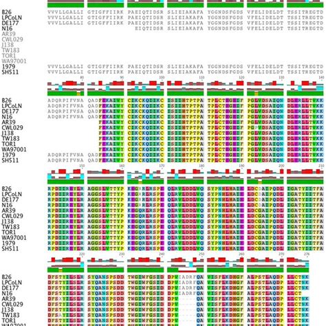 variable number of tandem repeats polymerase chain reaction pcr for download scientific