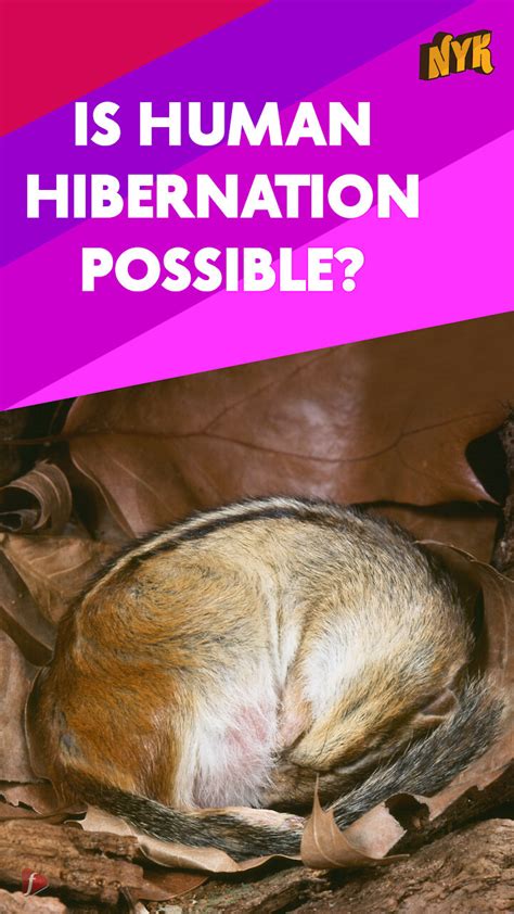 How Does Hibernation Works