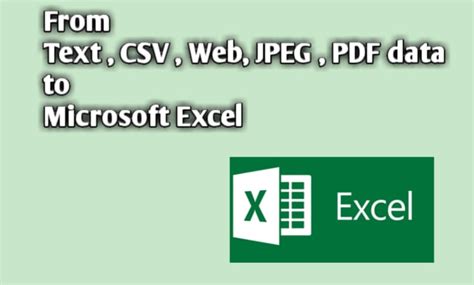 do text csv jpeg pdf and web data into excel by mishri17 fiverr