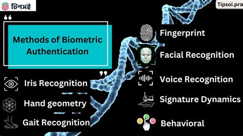 tipsoi biometric authentication the ultimate guide