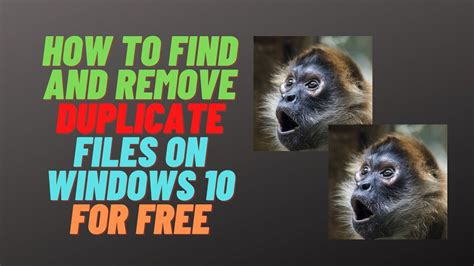 How To Find And Remove Duplicate Files On Windows 10 For Free YouTube