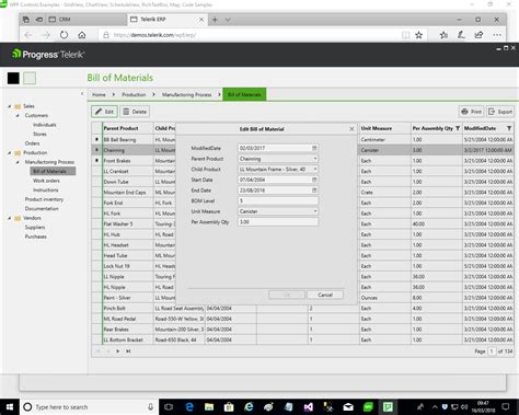 Wpf Datagrid Templates Structure Telerik Ui For Wpf H