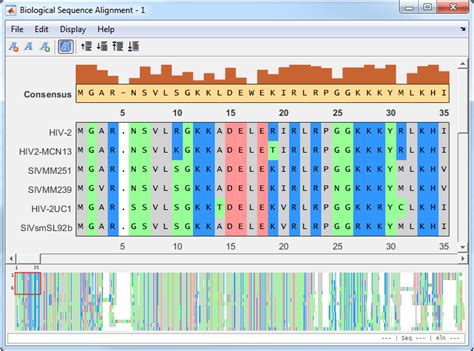 visualize and edit multiple sequence alignments matlab mathworks 中国