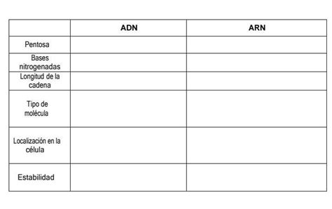Completa La Siguiente Tabla Indicando Las Diferencias Entre Adn Y Arn