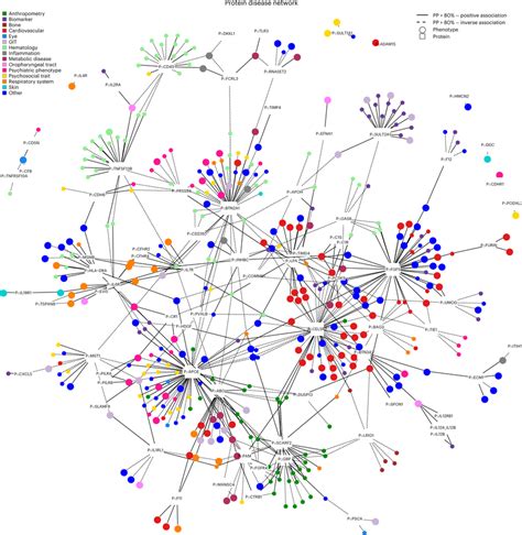 protein disease network results from phenome wide colocalization at download scientific diagram