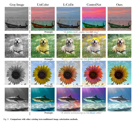 Diffcolor Toward High Fidelity Text Guided Image Colorization