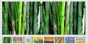 JQuery Image Gallery JQuery Slider WordPress Slideshow JQuery Video