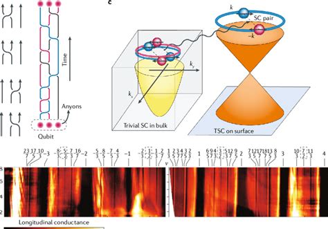 topological quantum computing a left schematic representation of download scientific