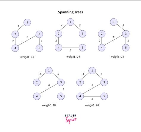 prims and kruskal algorithm scaler blog