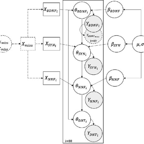 a simplified graphical representation of the bayesian hierarchical