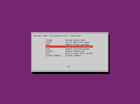 Mastering The Fsck Command Repair Linux File Systems Like A Pro