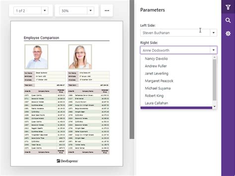 specify parameter values in a blazor report viewer native application reporting tools